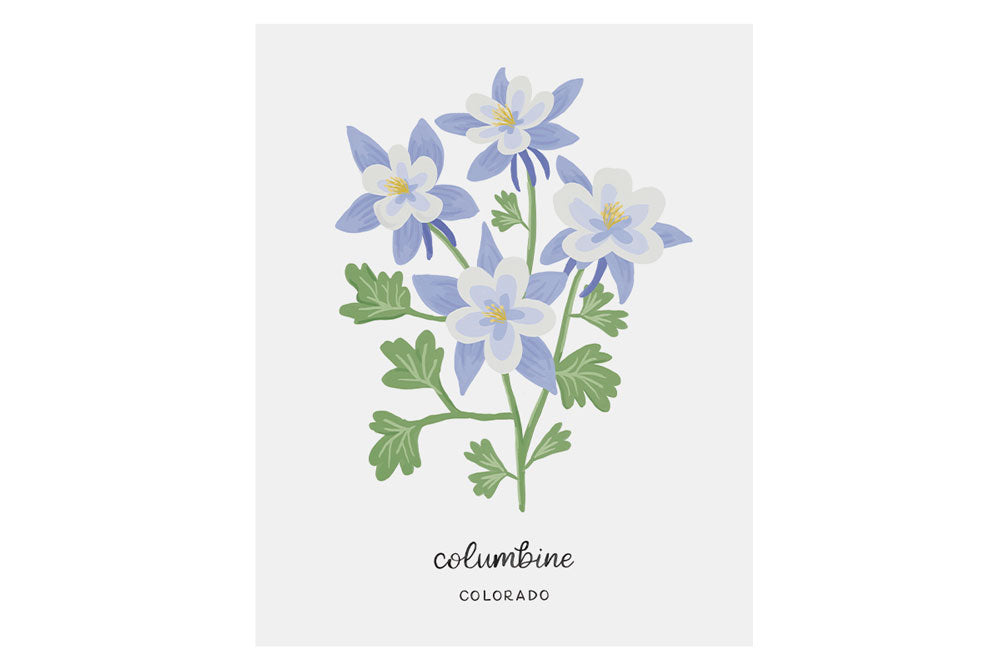 Colorado Columbine - State Flower Art Print – LoveLight Paper