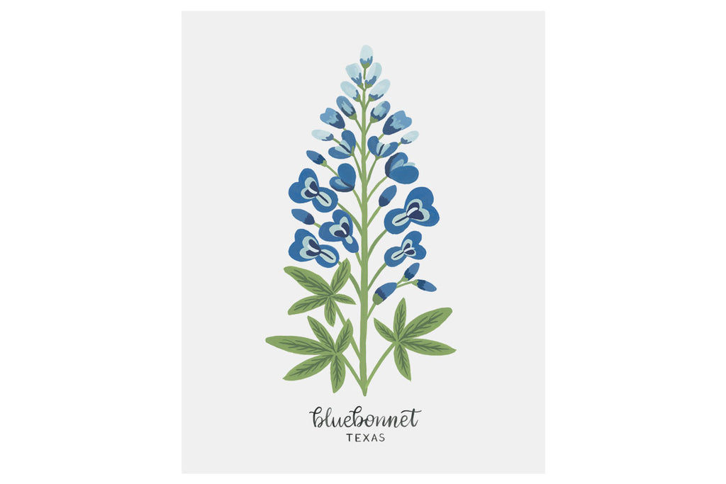 Texas Bluebonnet - State Flower Art Print – LoveLight Paper